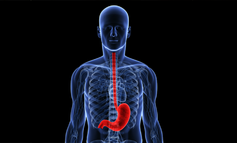 Does Smokeless Tobacco Really Affect Acid Reflux? - KillTheCan.org