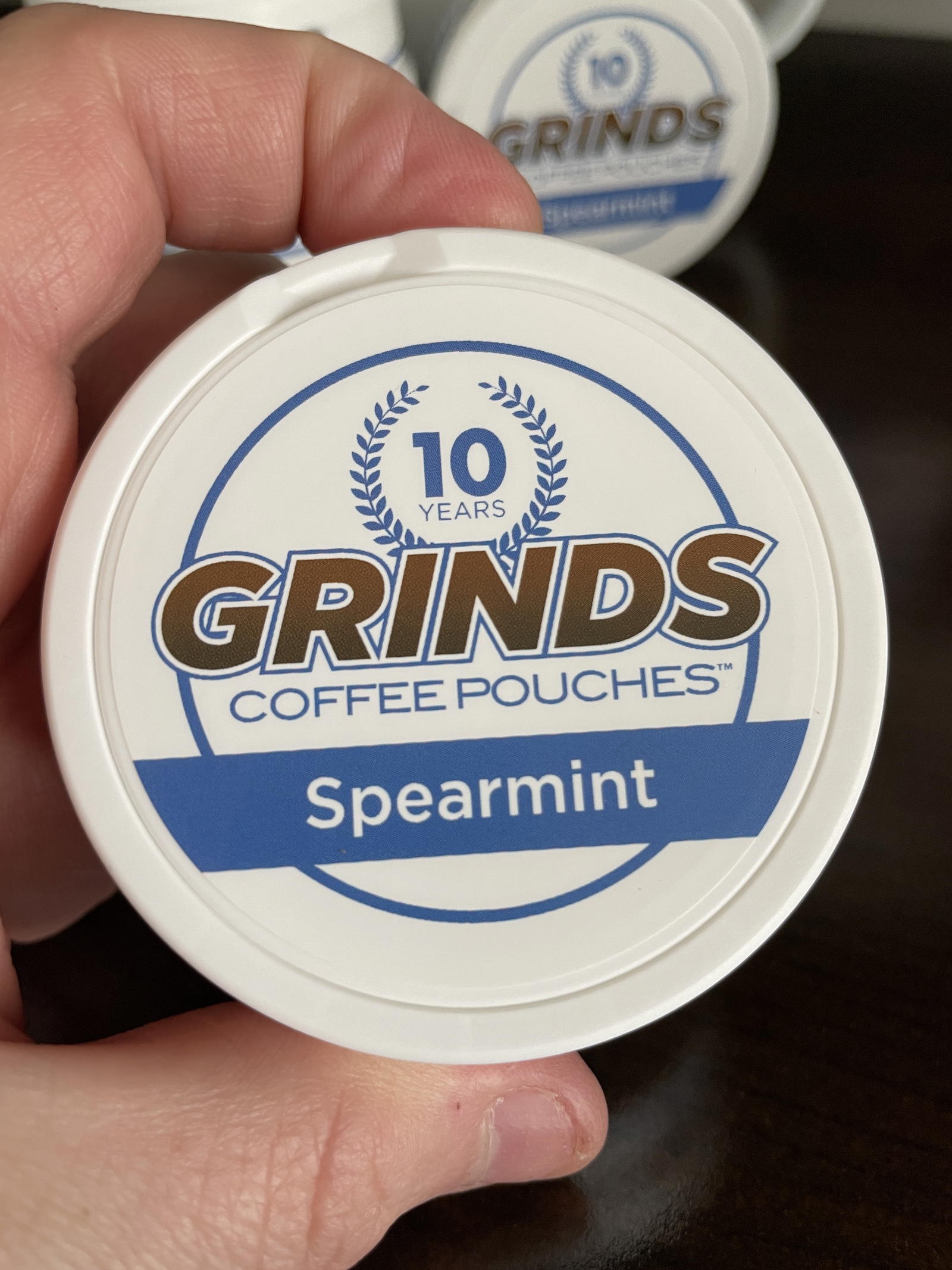 Grinds Coffee Pouches – Spearmint Review - KillTheCan.org