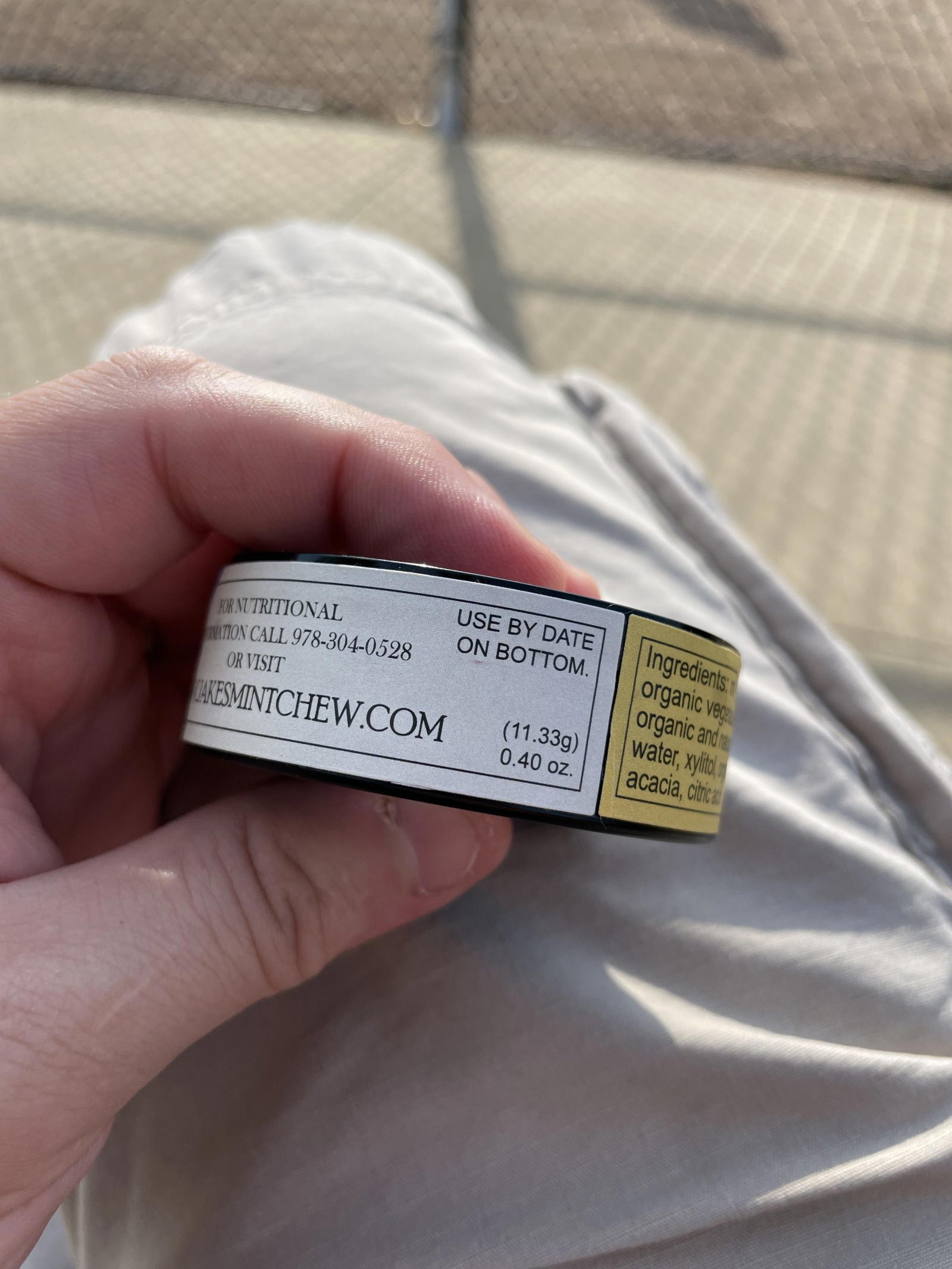 Jake's Mint Chew Pina Colada Pouches Review - KillTheCan.org