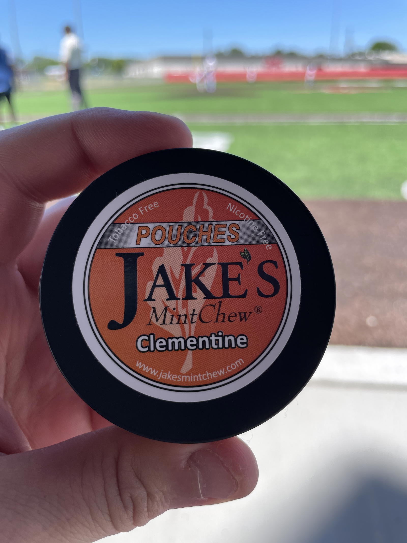 Jake's Mint Chew Clementine Pouches Review - KillTheCan.org