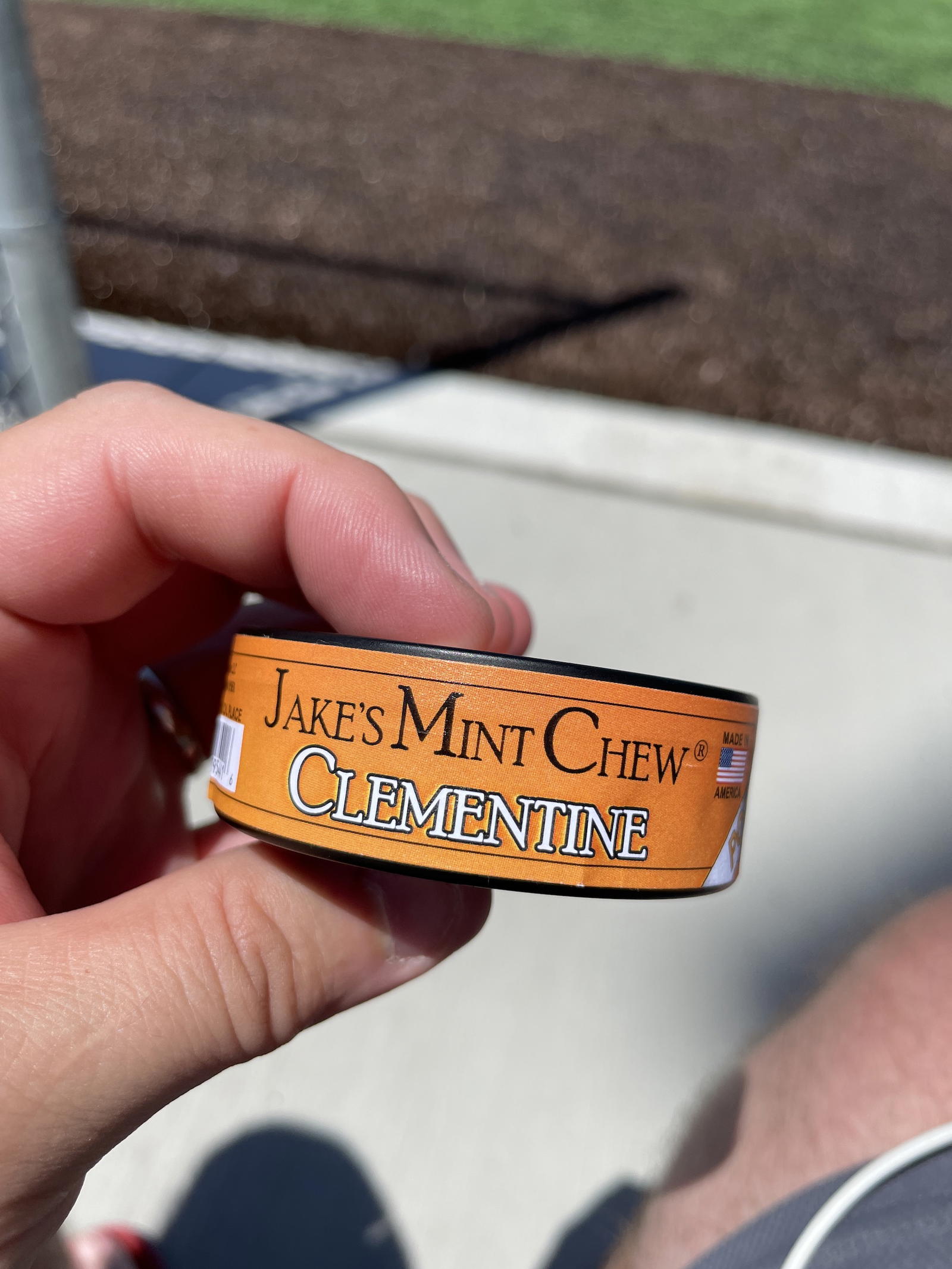 Jake's Mint Chew Clementine Pouches Review - KillTheCan.org