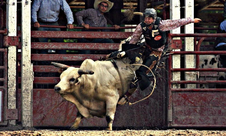 One Hell of a Ride - KillTheCan.org